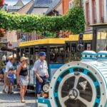 Rüdesheim sightseeing tour with the Winzerexpress - Who should consider this experience?