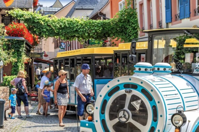 Rüdesheim sightseeing tour with the Winzerexpress - Who should consider this experience?