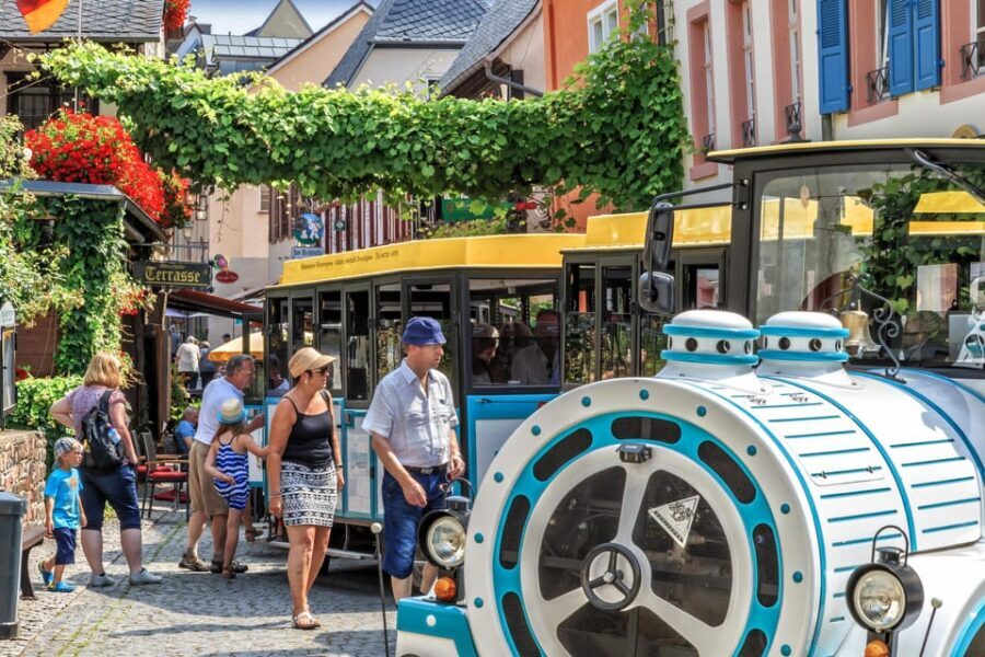 Rüdesheim sightseeing tour with the Winzerexpress - Who should consider this experience?