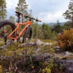 Ruka : Into the forest with fatbikes - Is the Price Worth It?