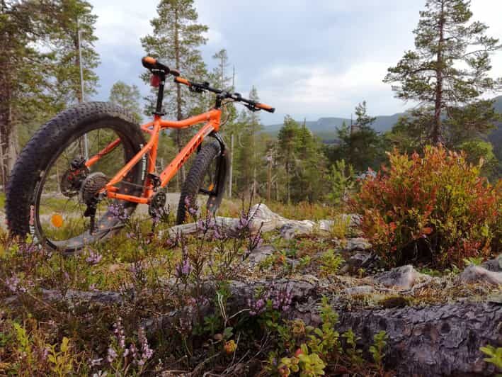 Ruka : Into the forest with fatbikes - Is the Price Worth It?