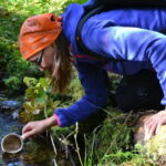 Ruka: Midnight sun hike to Valtavaara - The Experience: A Deep Dive