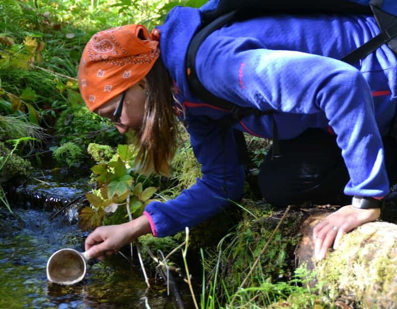 Ruka: Midnight sun hike to Valtavaara - The Experience: A Deep Dive