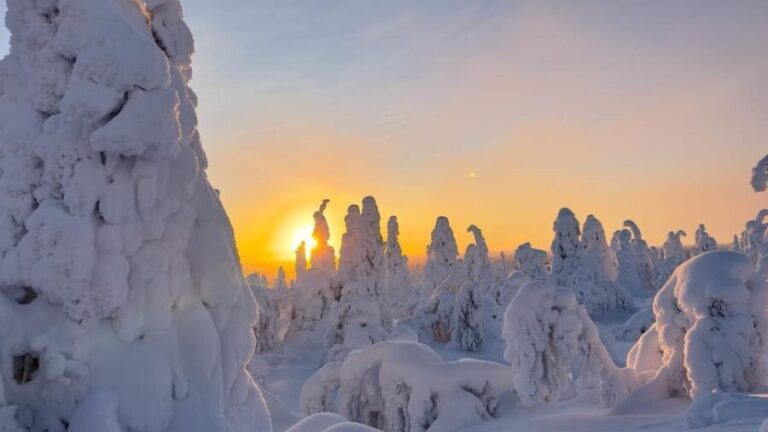 Ruka: Riisitunturi National Park with lunch. - Evaluating the Value: Does it Match the Cost?