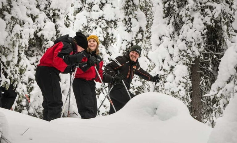 Ruka:Daytime winter wonderland hike - Why This Tour Delivers Great Value