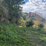 Running Tour in Granada - Detailed Breakdown of the Itinerary