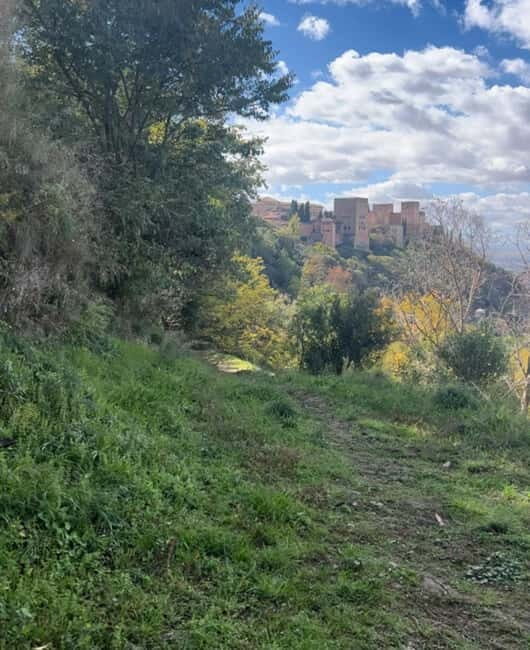 Running Tour in Granada - Detailed Breakdown of the Itinerary