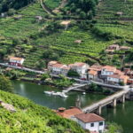 Ruta Ribeira Sacra and Sarria: Between Vineyards, History and the Way of Saint James - Value and Practical Insights