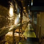 Rynek Underground, Wawel Castle and Cathedral Guided Tour - An In-Depth Look at the Tour Experience