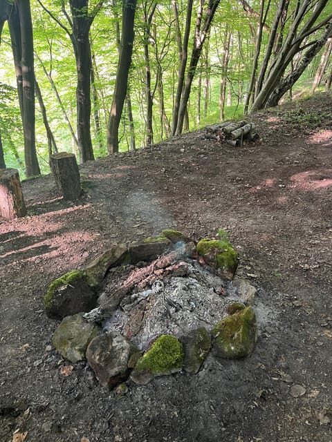 Rzeszów: Countryside trip with bonfire & sausage grilling - Key Points
