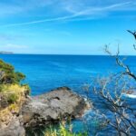 S. Miguel: Mermaid Experience in Azores - What Makes This Tour Stand Out?