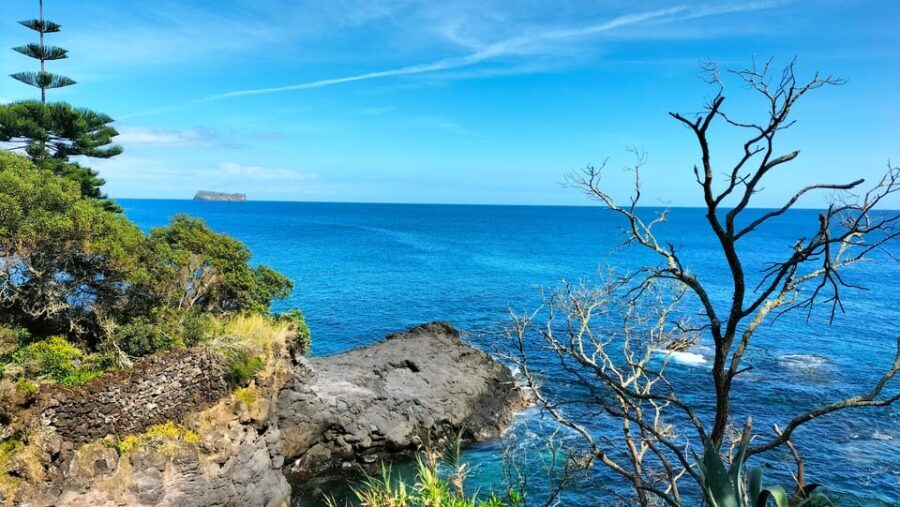 S. Miguel: Mermaid Experience in Azores - What Makes This Tour Stand Out?