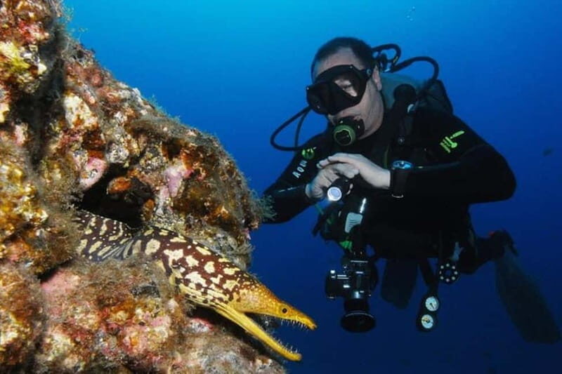 S Tenerife: Guided Boat Dive for Qualified Divers - The Dive Itself: A Closer Look