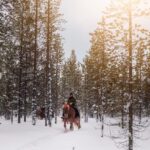 Saariselkä: Arctic Trail Horse Riding Tour - What’s Included and What’s Not