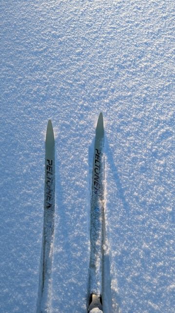 Saariselkä: Back-Country Skiing Guided Tour - Practical Details and Tips