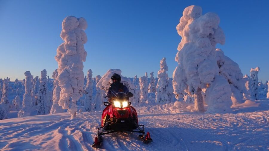 Saariselkä: Evening Snowmobile Tour with Fire & picnic - Detailed Breakdown of the Experience