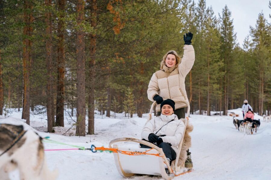 Saariselkä: Husky Safari with kennel visit - Analyzing Value and Pricing