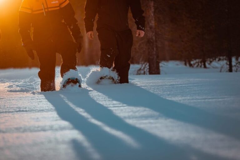 Saariselkä: Northern Lights Hunting Snowshoe Trip - The Value of the Experience