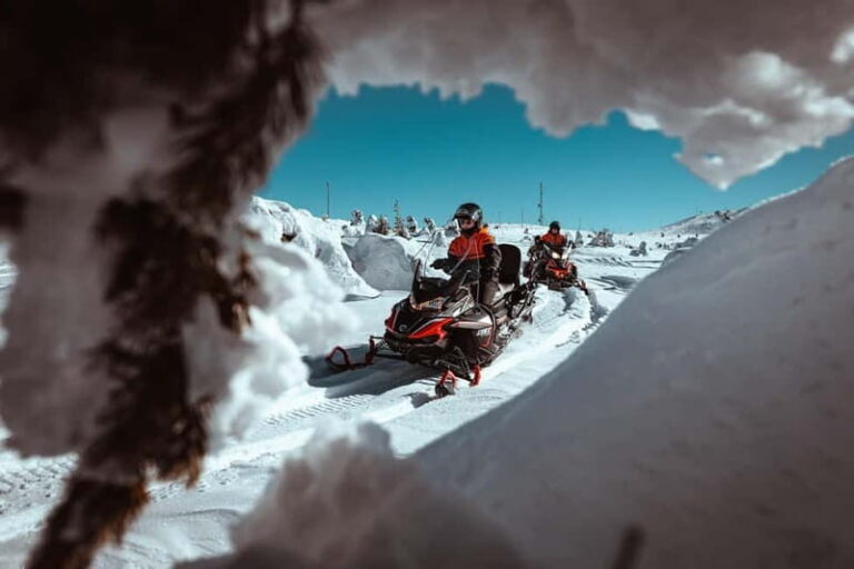Saariselkä: One Hour Snowmobile Safari - What to Expect From the Saariselkä Snowmobile Safari
