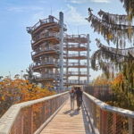 Saarland: Treetop Walk Saarschleife & Lookout Tower - The Value and Who This Experience Is Best For