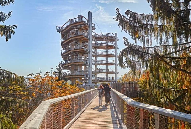 Saarland: Treetop Walk Saarschleife & Lookout Tower - The Value and Who This Experience Is Best For