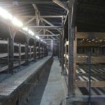 Sachsenhausen Concentration Camp Tour - The Sum Up