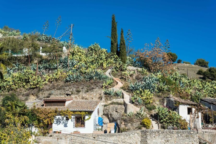 Sacromonte Caves Museum Admission Ticket - Reviews and Personal Insights from Visitors