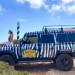 Safari Beach Tour & Snorkeling - Authentic Experiences & Real Guest Perspectives