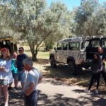 Safari & Boat Tour - Mountains & Dolphins - Who Will Love This Tour?