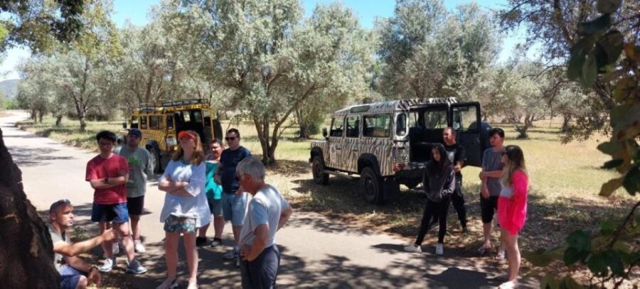 Safari & Boat Tour - Mountains & Dolphins - Who Will Love This Tour?