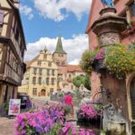 Safari Wine Villages & Wine tasting - What You Gain from This Tour