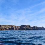 Sagres: Wildlife Tour Dolphins and Caves - Authentic Experiences from Real Travelers