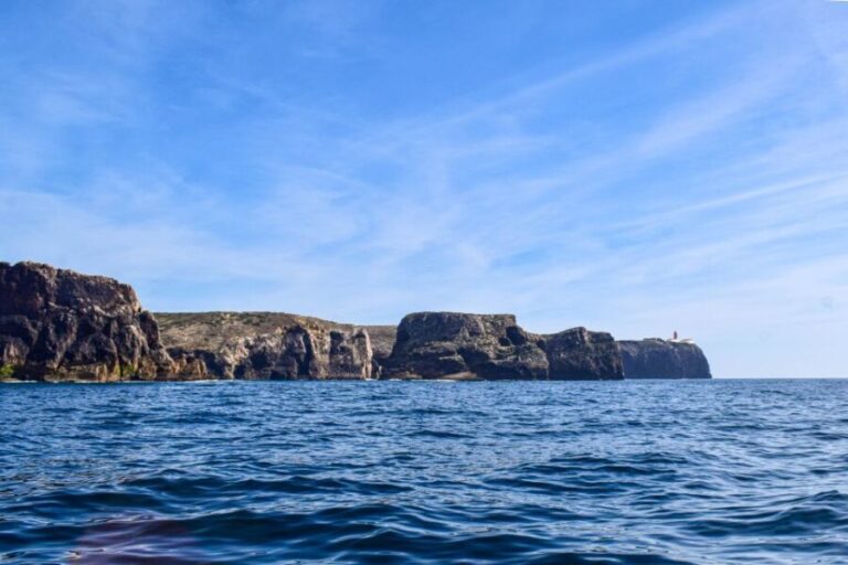 Sagres: Wildlife Tour Dolphins and Caves - Authentic Experiences from Real Travelers