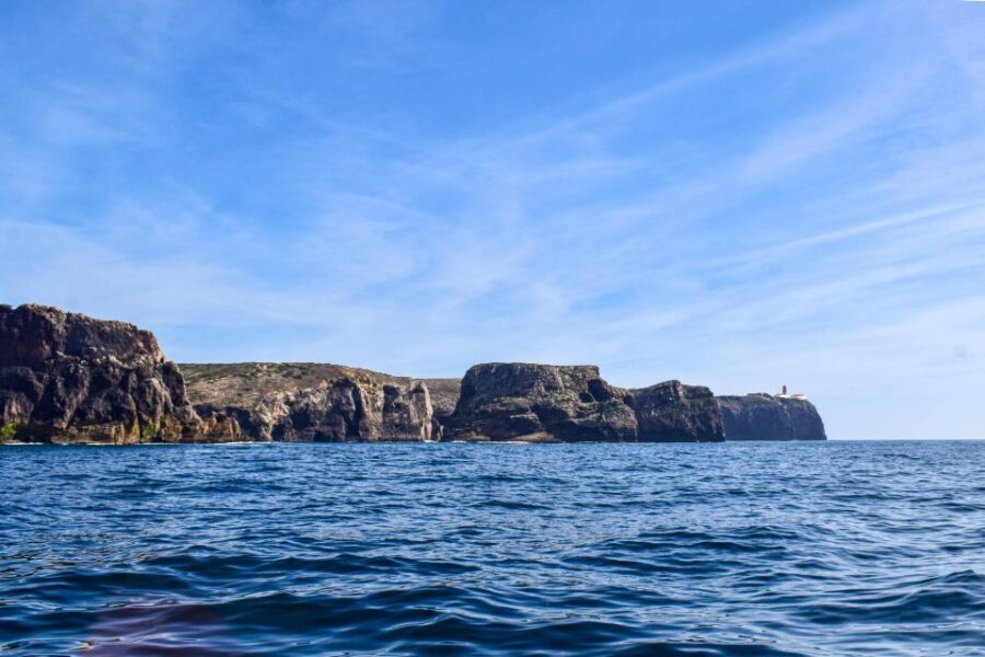 Sagres: Wildlife Tour Dolphins and Caves - Authentic Experiences from Real Travelers