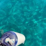 Sailing the Cilento coast: adventure, and serenity - The Main Event: Sauco Bay