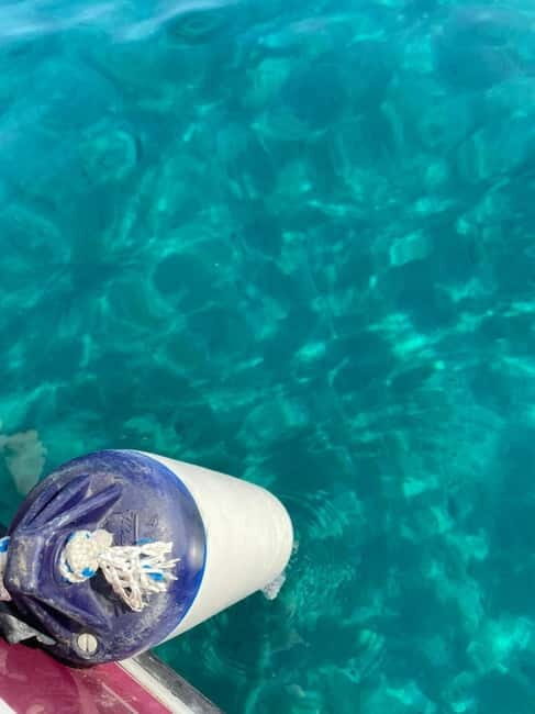 Sailing the Cilento coast: adventure, and serenity - The Main Event: Sauco Bay