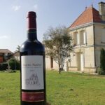 Saint-Émilion: 2 hours - Visit of the vineyard, the cellar and tasting - Who Will Enjoy This Tour?