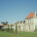 Saint-Émilion: Family Vineyard Visit with Wine Tasting - Discovering Château Haute-Nauve