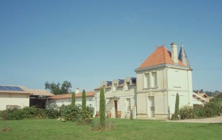 Saint-Émilion: Family Vineyard Visit with Wine Tasting - Discovering Château Haute-Nauve