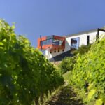 Saint-Emilion: Grand Cru Classé Gourmet Visit - Who Should Consider This Tour?
