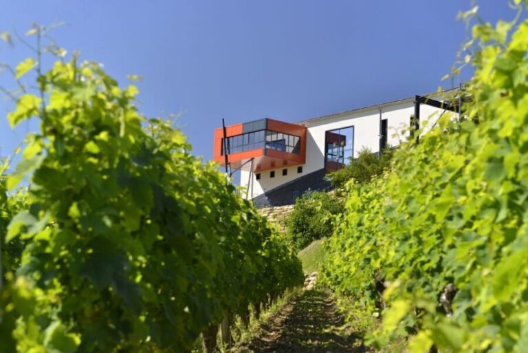 Saint-Emilion: Grand Cru Classé Gourmet Visit - Who Should Consider This Tour?