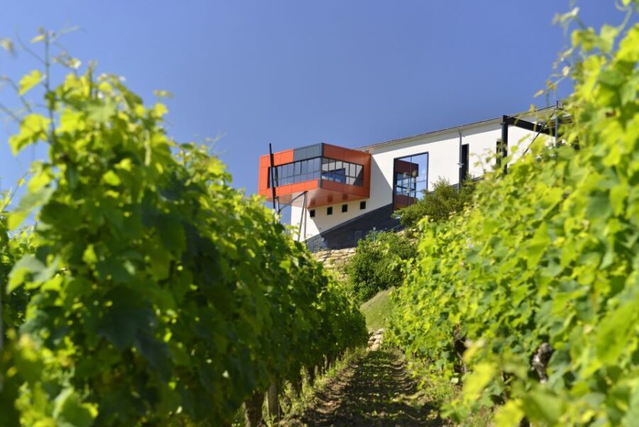 Saint-Emilion: Grand Cru Classé Gourmet Visit - Who Should Consider This Tour?