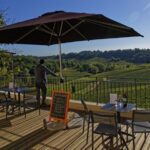 Saint-Émilion: Grand Cru Classé Winery Visit and Tasting - Value and Practical Considerations