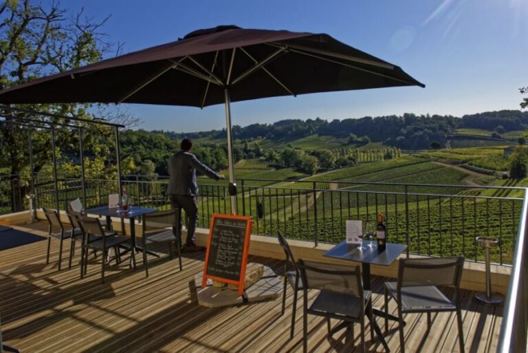Saint-Émilion: Grand Cru Classé Winery Visit and Tasting - Value and Practical Considerations