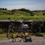 Saint Emilion Half Day Ebike and Wine Tour with Picnic - Itinerary Breakdown: From Vines to Vintage