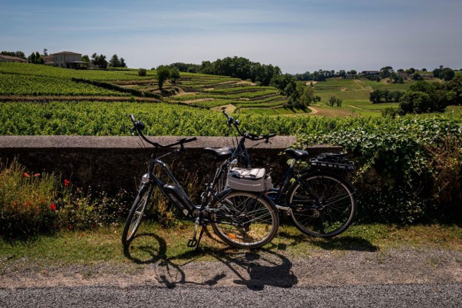Saint Emilion Half Day Ebike and Wine Tour with Picnic - Itinerary Breakdown: From Vines to Vintage