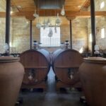 Saint-Emilion : half-day wine-tour into classified estates - What You Can Expect From the Tour