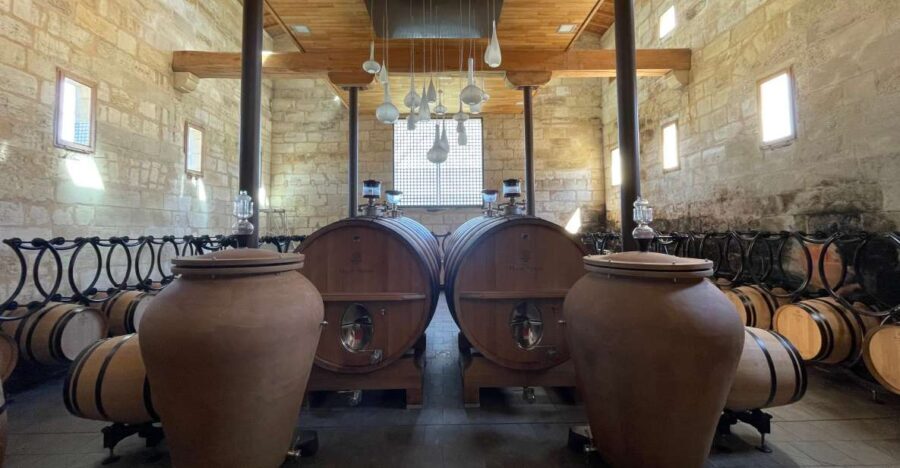 Saint-Emilion : half-day wine-tour into classified estates - What You Can Expect From the Tour