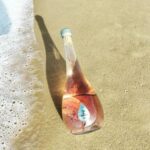 Saint-Emilion : Tasting of 4 wines in a family vineyard - Why This Tour Works Well