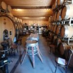 Saint-Émilion: Vineyard Walking Tour and Tasting - An In-Depth Look at the Tour Experience